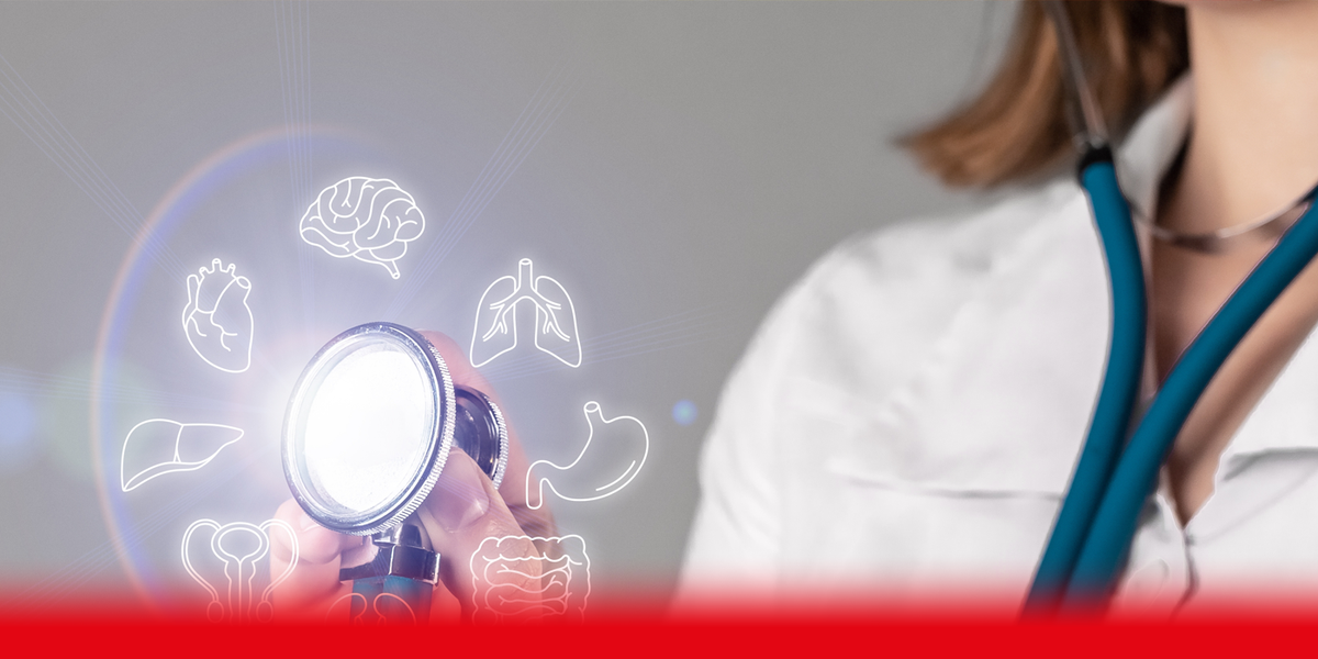 What Is a Full Body MOT? | One Day Tests — onedaytests.com