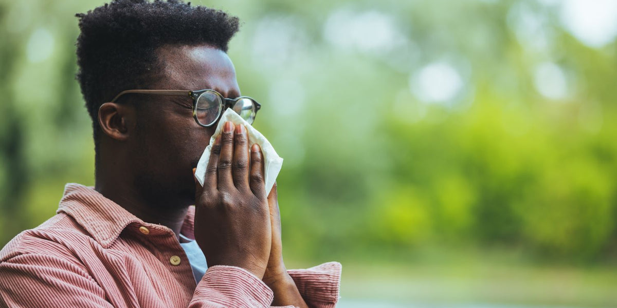 Allergy (ALEX 2.0) Blood Test | Is Allergy Testing Worth It ...