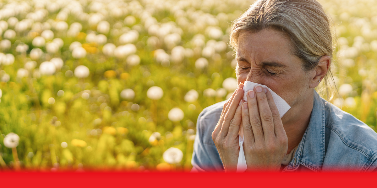 Hay Fever Tips: Answers to Common Questions — onedaytests.com