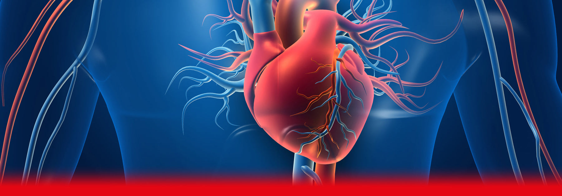 Heart Disease - Guidance on how to keep your heart healthy ...