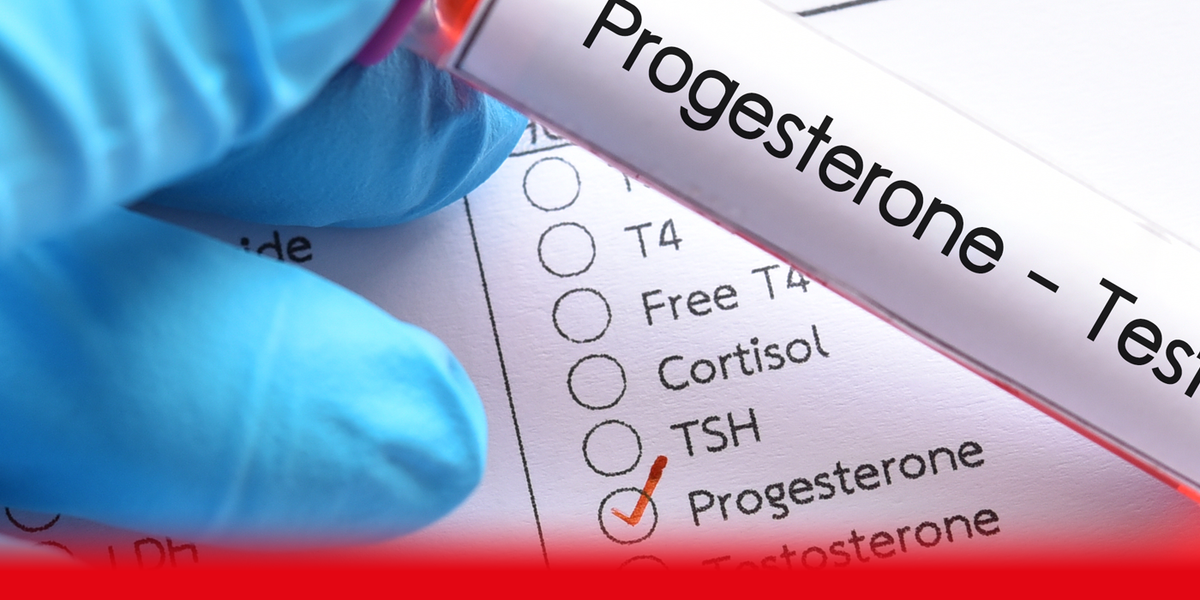 What Does a Progesterone Blood Test Show | One Day Tests — onedaytests.com