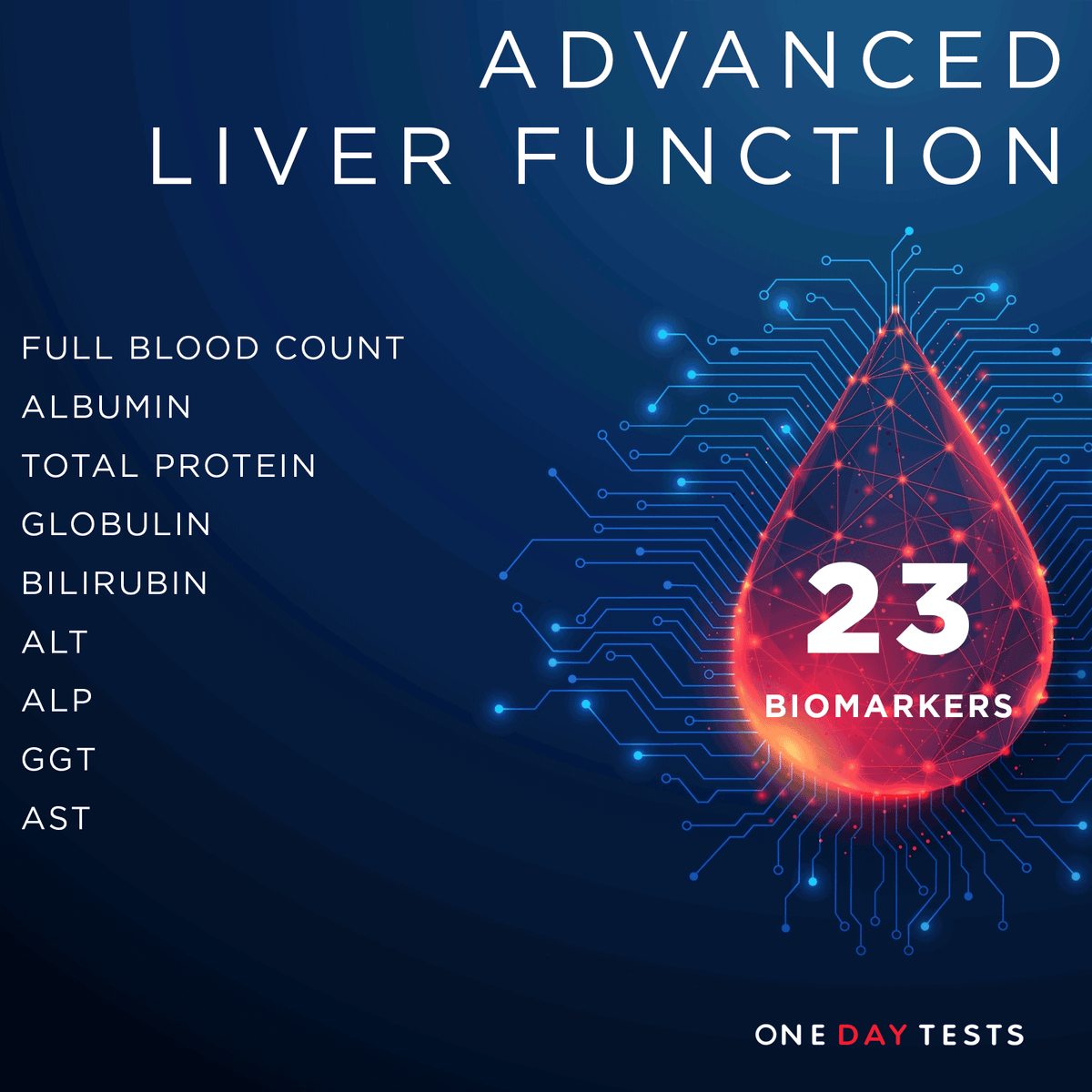 Advanced Liver Function Blood Test — onedaytests.com