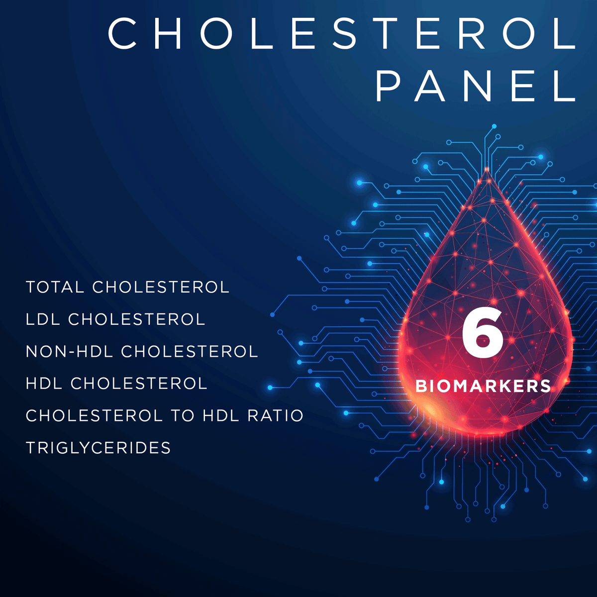 Cholesterol Test | Fast Results – One Day Tests — onedaytests.com