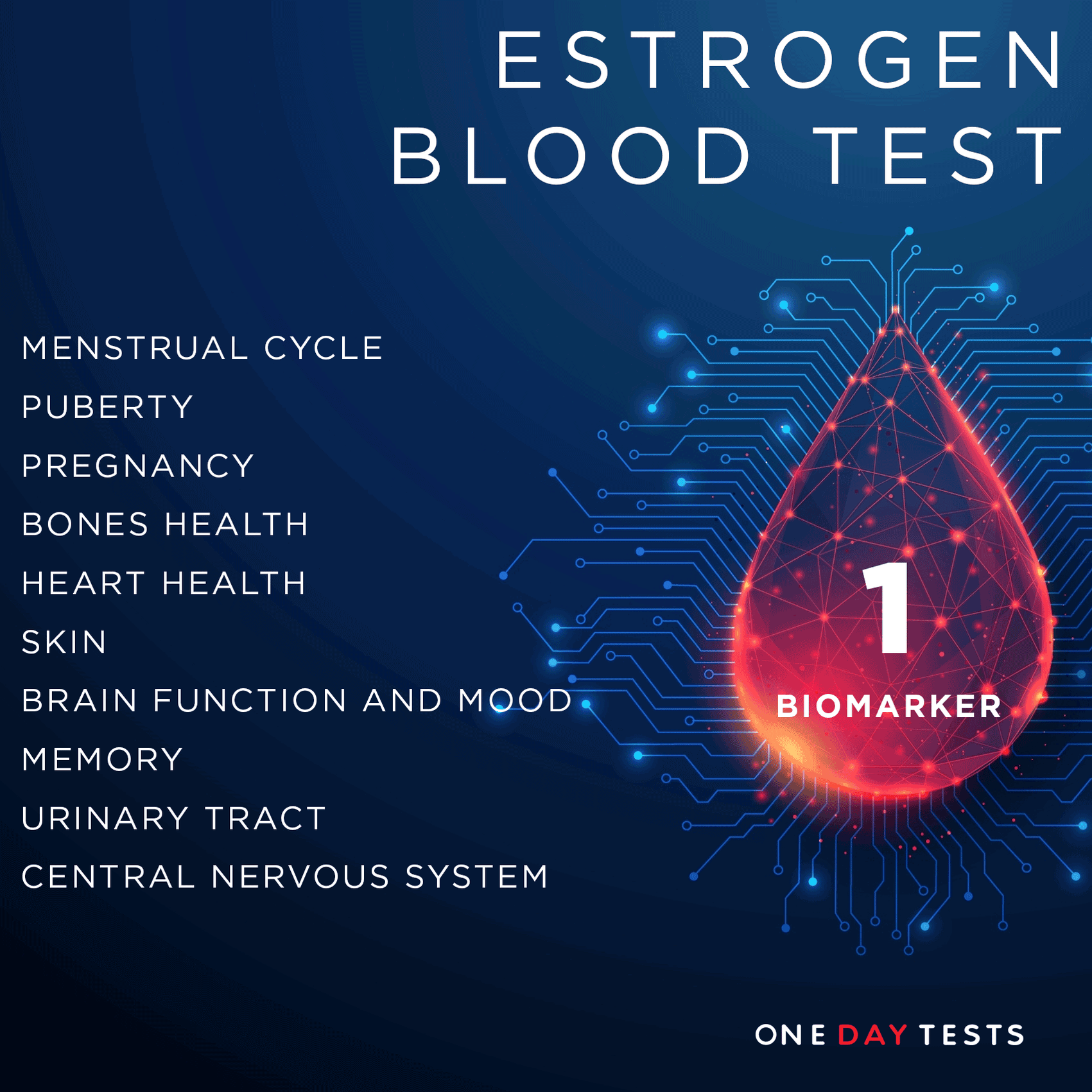 Oestradiol Blood Test | Fast Results – One Day Tests — onedaytests.com
