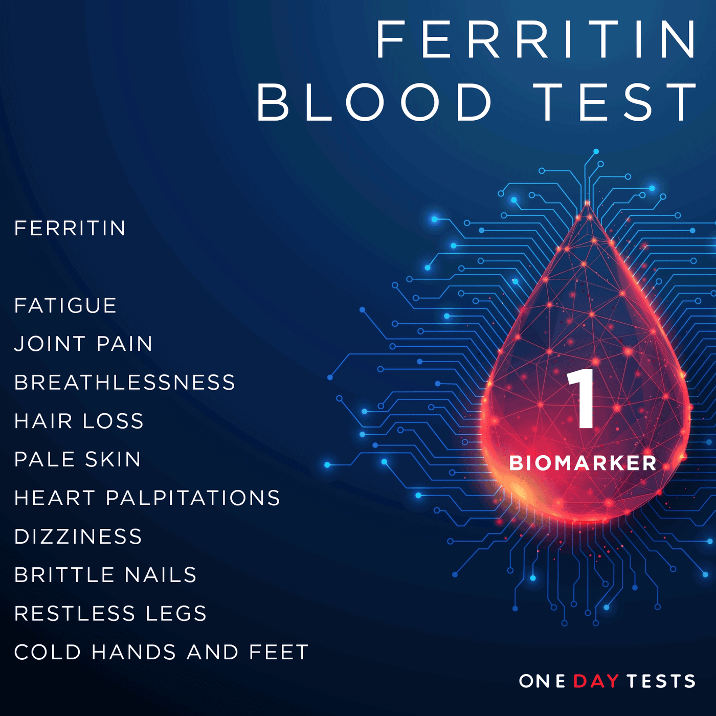 Ferritin - description and reference ranges — onedaytests.com