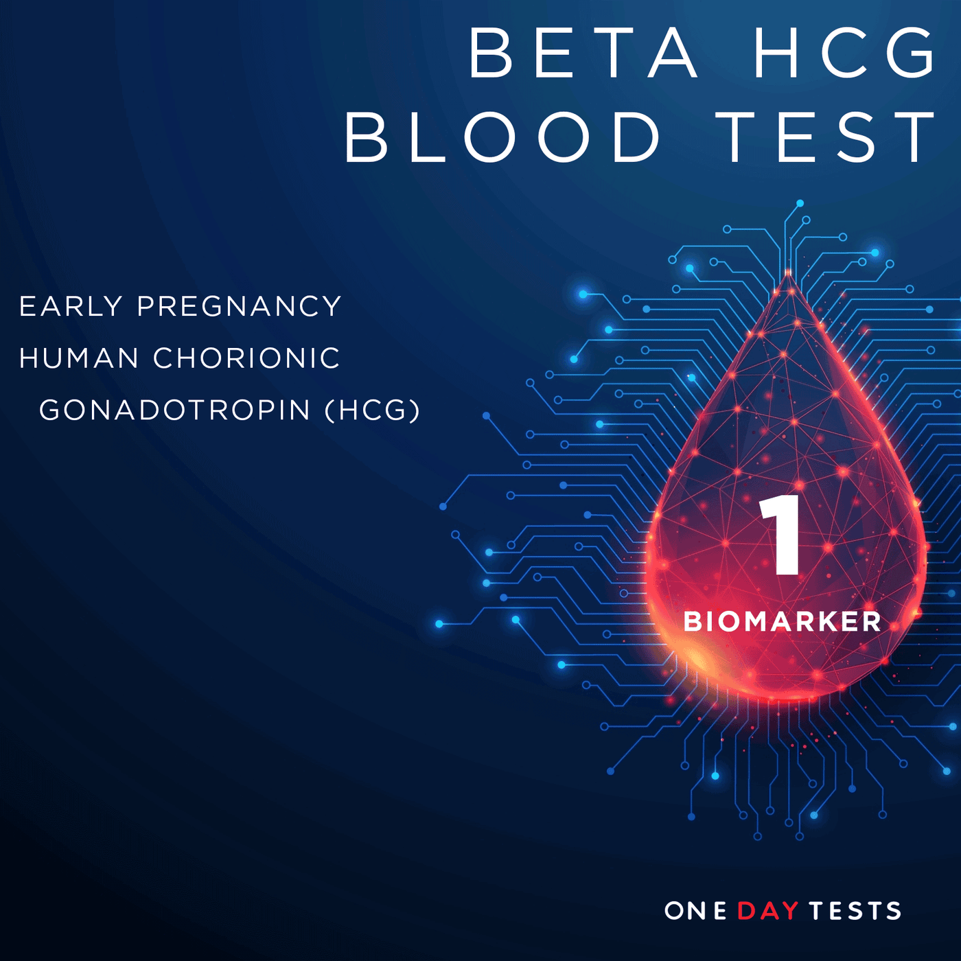 Beta hCG Blood Test | Fast Results – One Day Tests — onedaytests.com