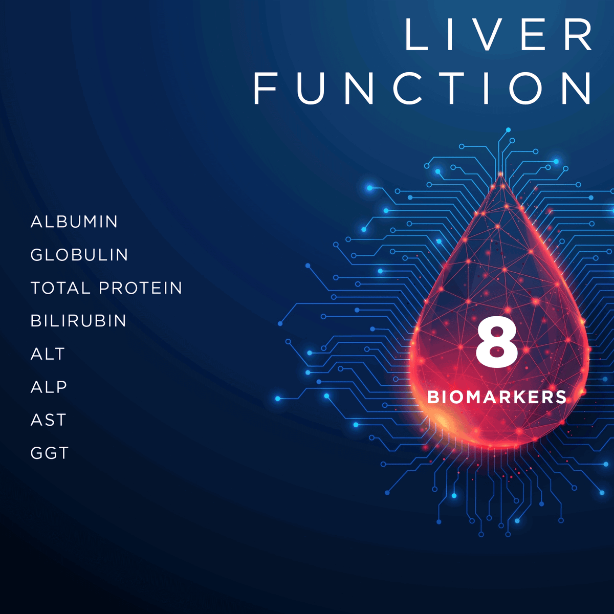 Liver Function Blood Test | 8 Biomarkers | One Day Tests — onedaytests.com