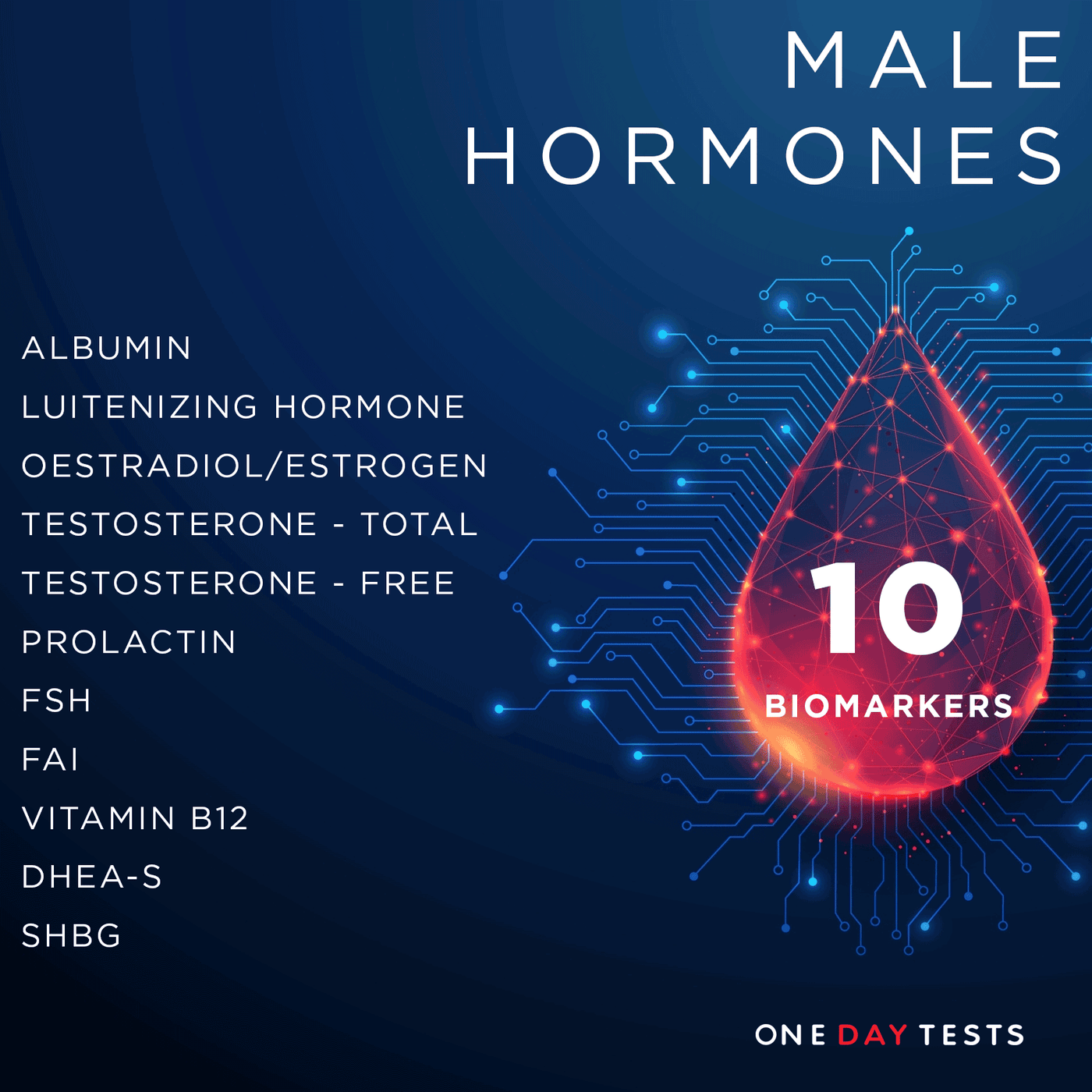 Male Hormone Blood Test | 10 Biomarkers | One Day Tests — onedaytests.com