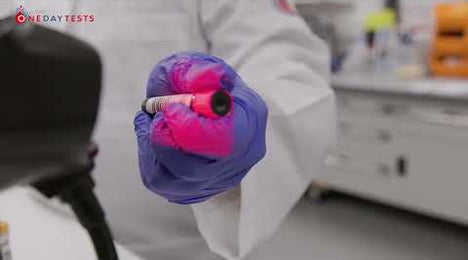 Ultimate Allergy Screening (ALEX 2.0) Blood Test — onedaytests.com