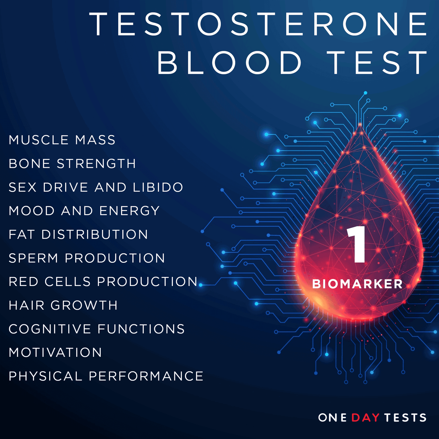 Testosterone Blood Test | Fast Results – One Day Tests — onedaytests.com