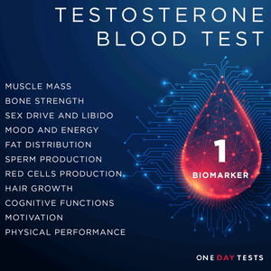 Testosterone Blood Test | Fast Results – One Day Tests — onedaytests.com