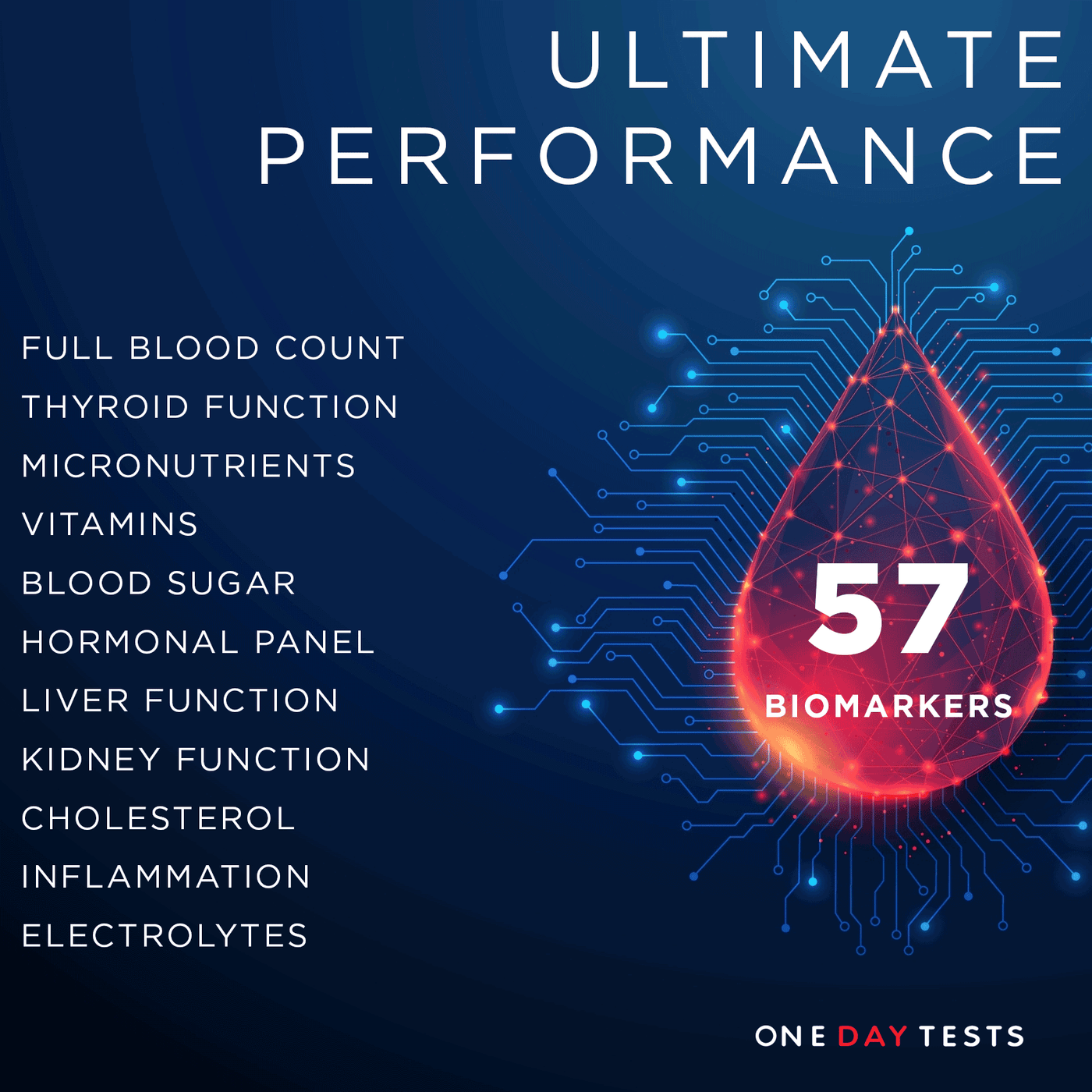 Book the Ultimate Performance Blood Test | Full body MOT — onedaytests.com
